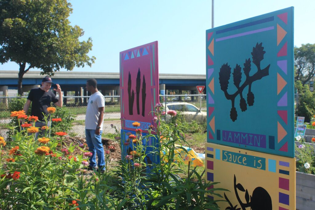Milwaukee teens give South Side community garden a new life | Milwaukee ...