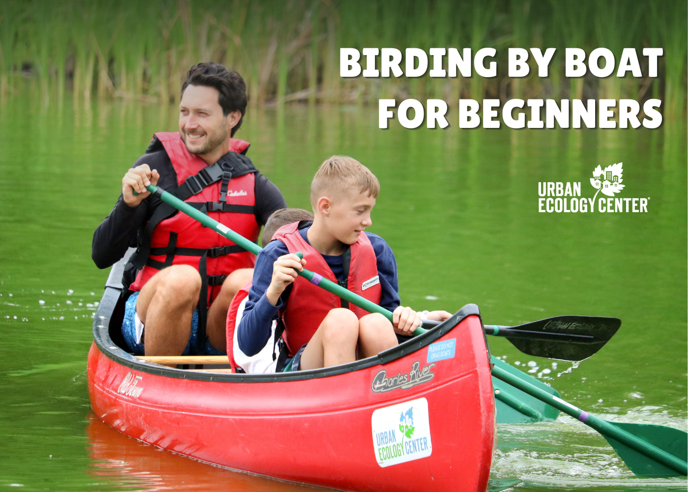 Post From Community: Birding by Boat for Beginners | Milwaukee ...